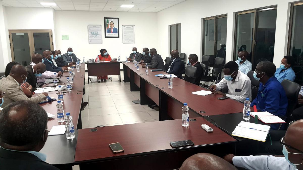 Company History – Zammsa